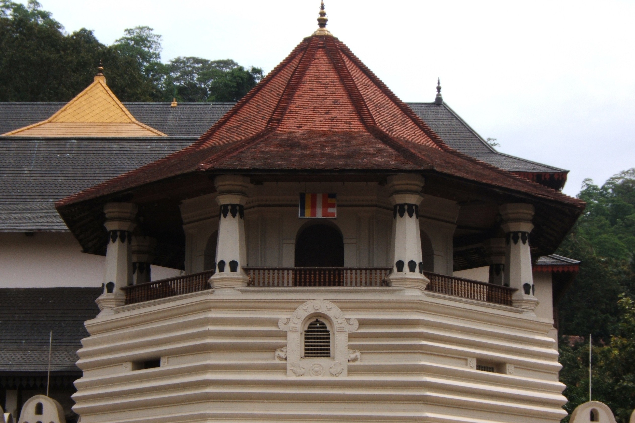 By MediaJet - Own work , CC BY-SA 3.0 , Link